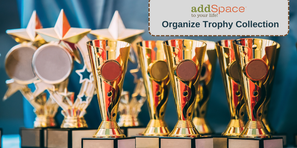 Organize Trophy Collection - Add Space to You Life